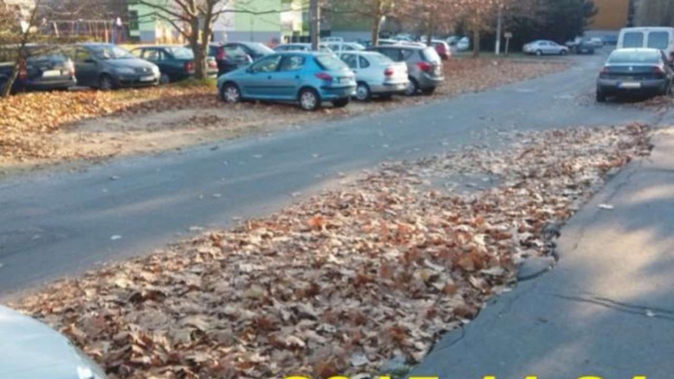 A kocsik alatt nem takarították az avart Sopronban