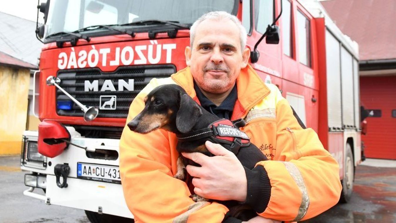 Egy magyar tacsi a legkisebb mentőkutya Törökországban