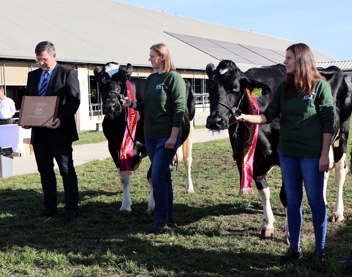 Egymilliárdos beruházással bővült Komáromban a Solum Zrt.