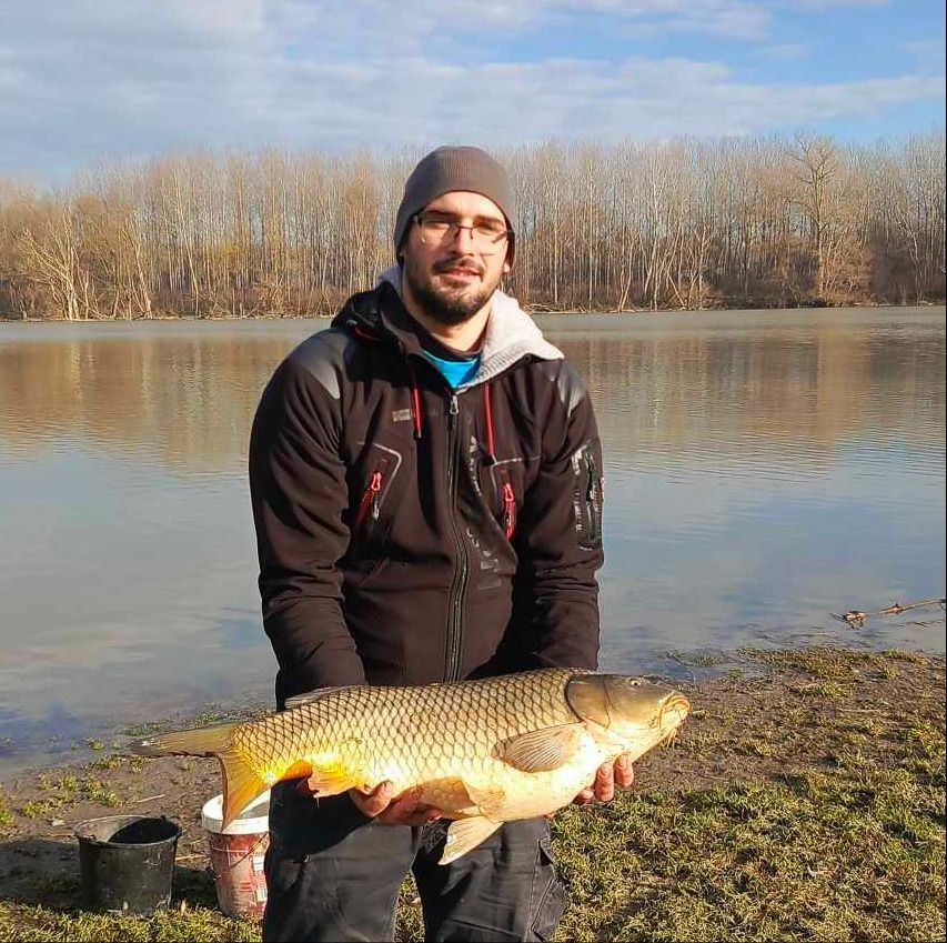 Csonti csokor és a kukorica a nyerő? – Cikksorozatban mutatjuk meg ...