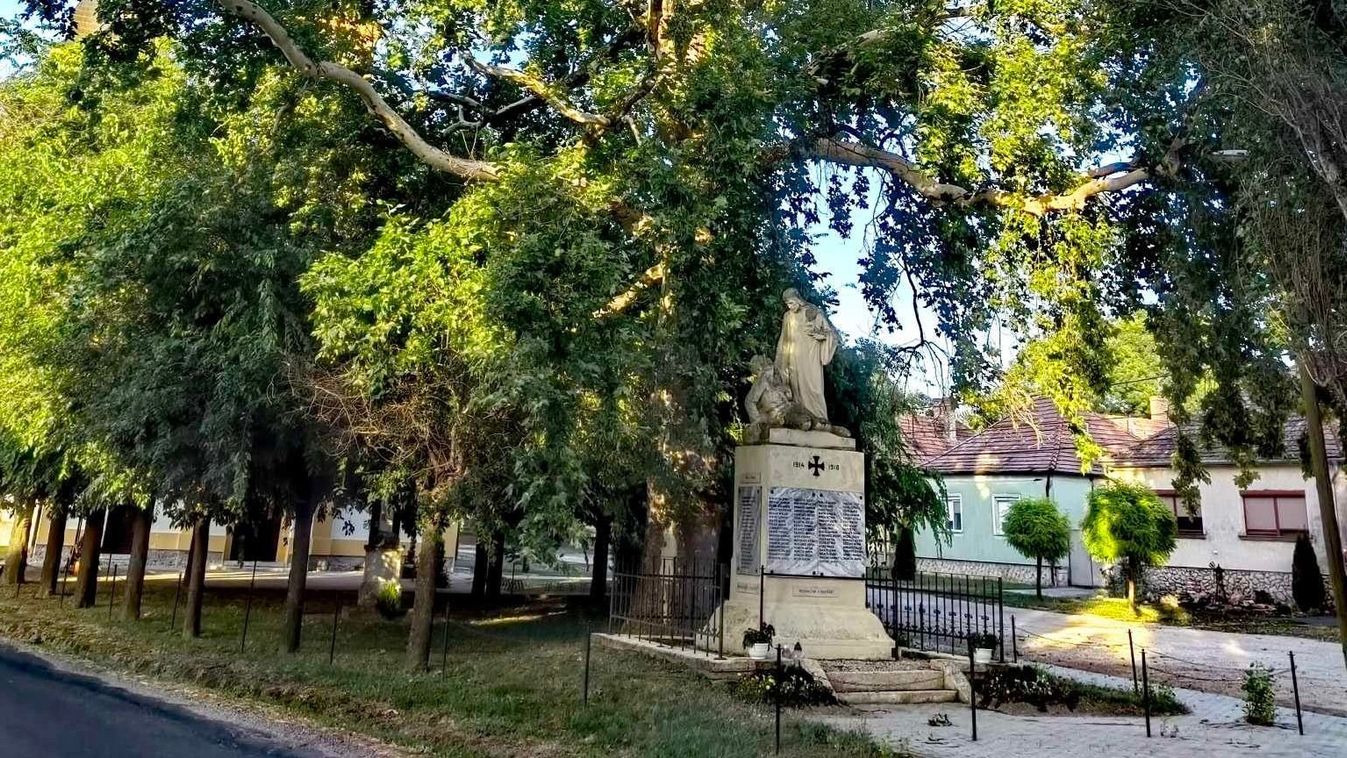 Platánfa Rábapordányban