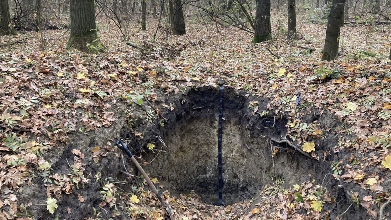 Talajszelvény az 2025-ös év talaja