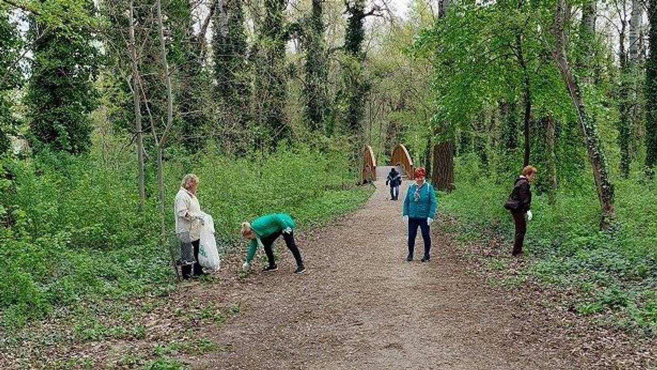 TeSzedd: együtt teszünk a természetért