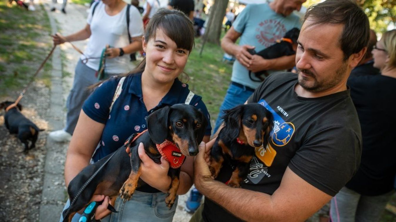 Tacsi Tali Győrben - Negyedik alkalommal is ellepi az aranypartot a ...