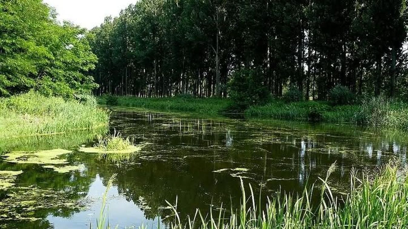 Rábca folyó áradása hatvan éve