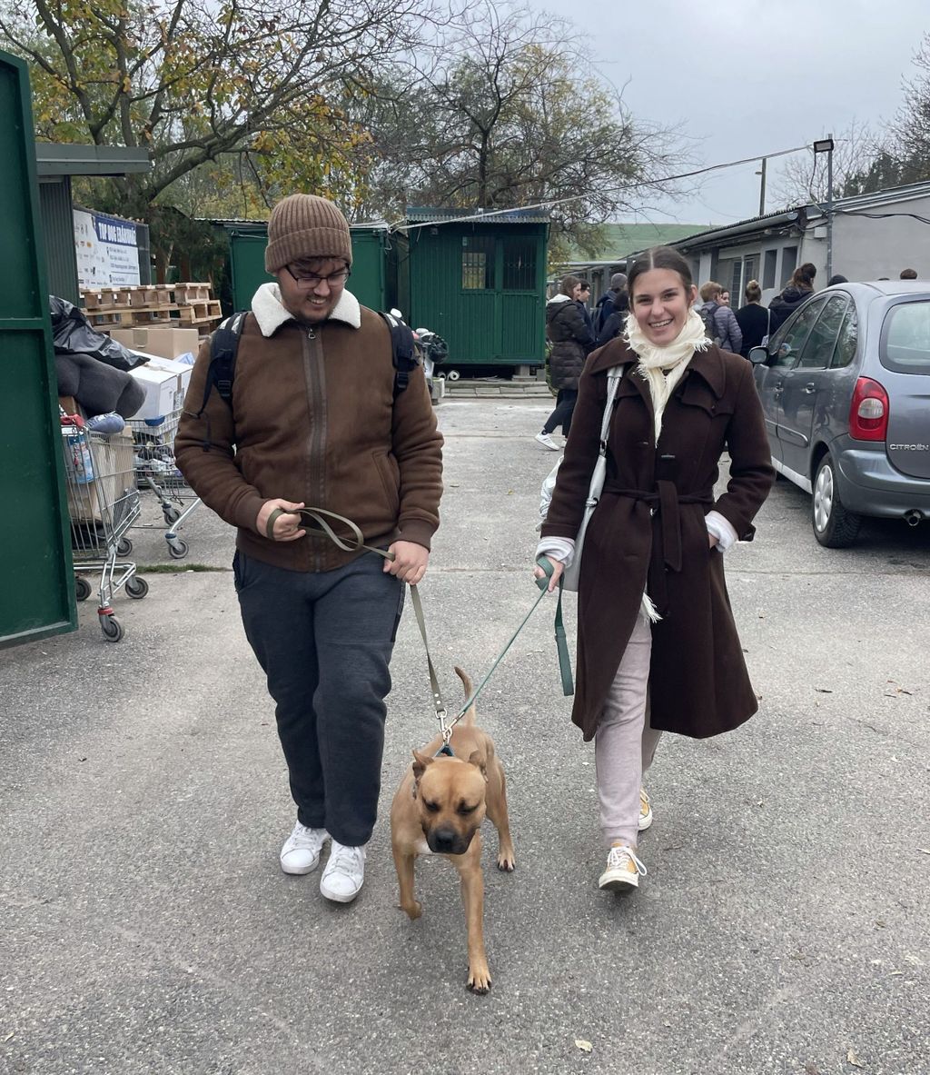 A győri Baross-iskola diákjai az állatmenhelyre látogattak - fotók