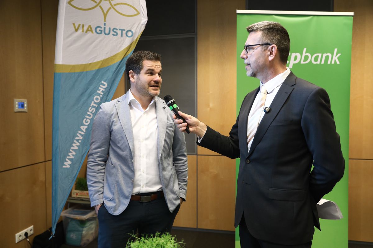 GINOP Plusz és DIMOP Plusz - Még vannak elérhető támogatási összegek