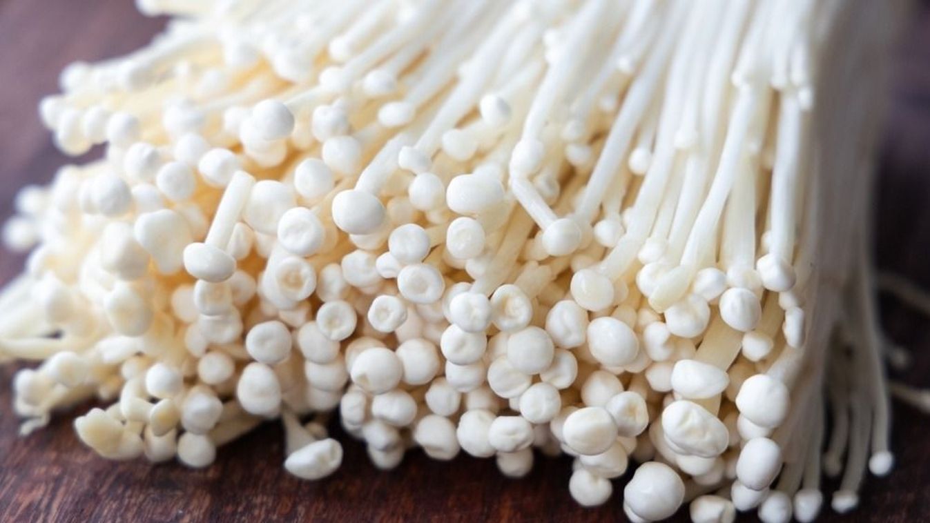 Ha van a hűtőben ilyen enoki gomba, véletlenül se egye meg